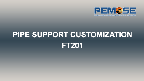 PIPE SUPPORT CUSTOMIZATION: TRUNNION FOR FRAMEWORK - Pemose